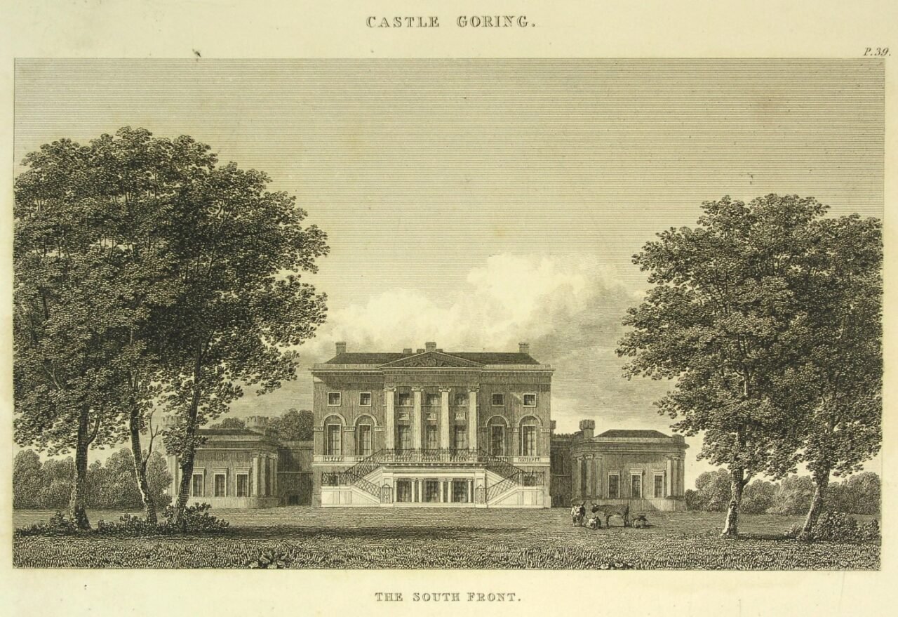 Castle Goring | History